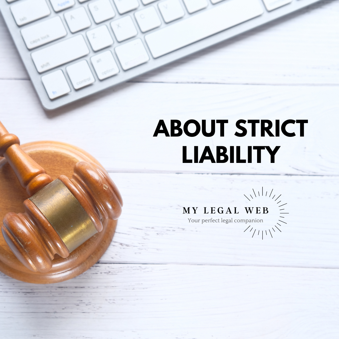 [Premium Member] About Strict Liability – MY LEGAL WEB